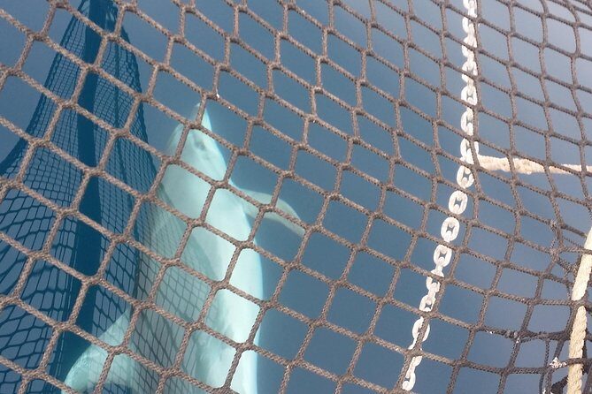 Sailing day trip on Tall Ship Andrea Jensen with Lunch and Wine - FAQs  