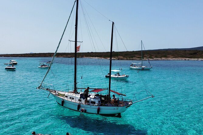 Sailing excursion in the Asinara National Park - Key Points