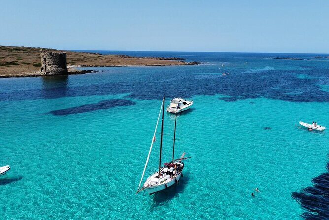 Sailing excursion in the Asinara National Park - What Could Be Better