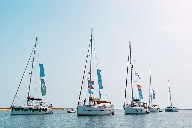 Sailing Experience in Lisbon - Portugal - Final Thoughts