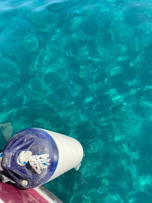 Sailing the Cilento coast: adventure, and serenity - FAQ