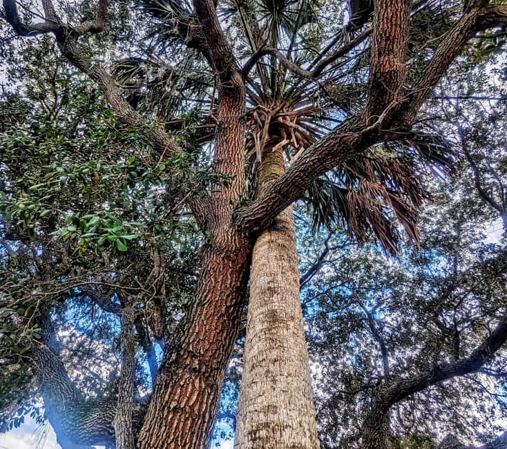 Saint Augustine: Walking Historic Tour - Final Thoughts: Who Will Love This Tour?