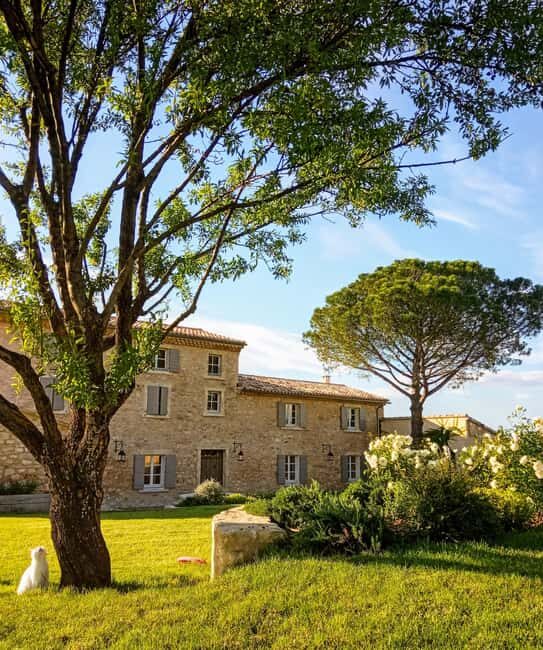 Saint-Didier: visit a vineyard & taste organic wines - Final Word