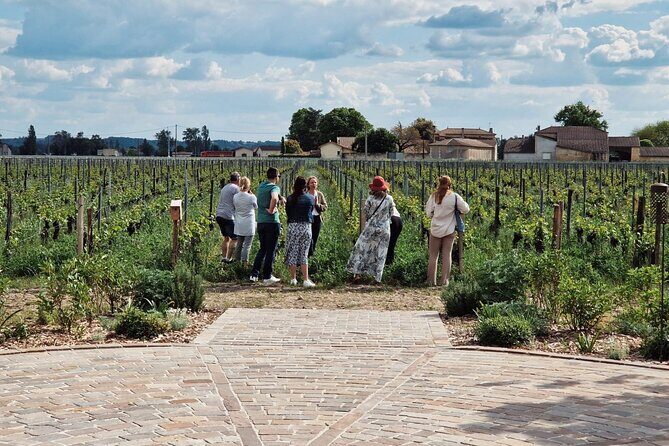 Saint-Emilion Afternoon Wine Tour - 2 Wineries & delicacies - What to Expect from the Tour