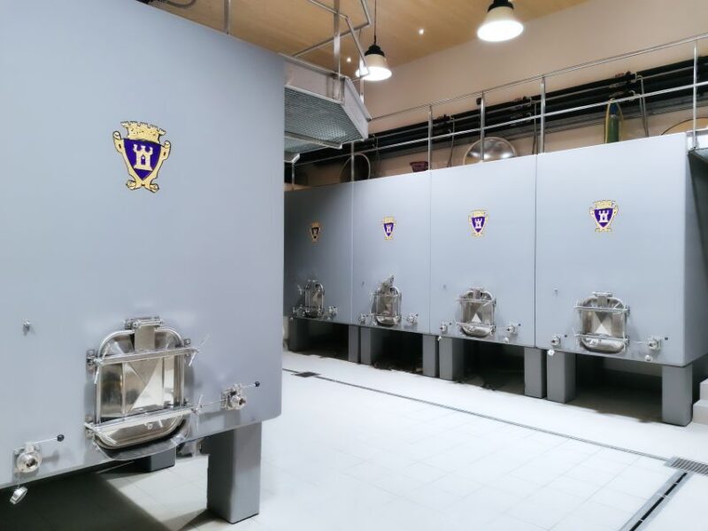 Saint-Émilion: Bordeaux Vineyard Tour and Wine Tasting - A Deep Dive into the Saint-Émilion Experience