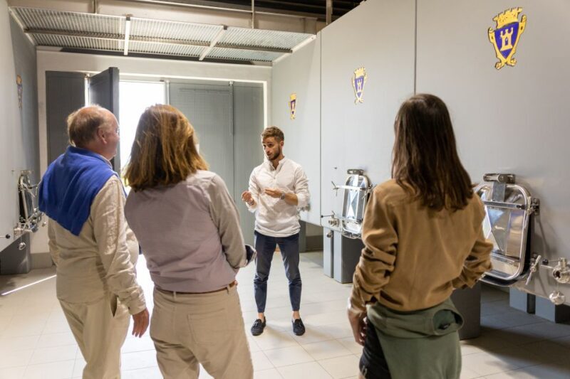 Saint-Émilion: Bordeaux Vineyard Tour and Wine Tasting - Who Would Love This Tour?