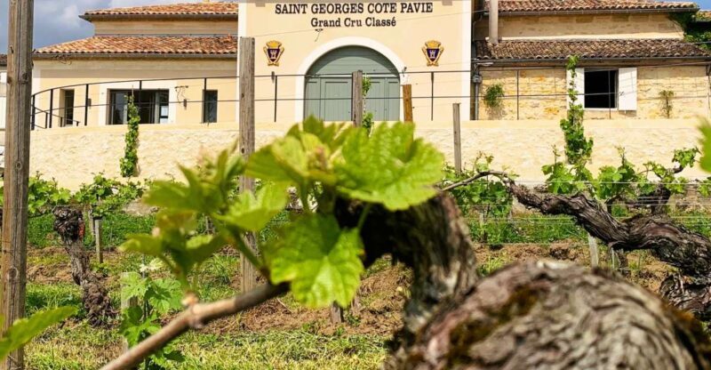 Saint-Émilion: Bordeaux Vineyard Tour and Wine Tasting - FAQ