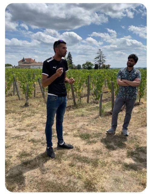 Saint-Émilion: Family Vineyard Visit with Wine Tasting - Authenticity and the Personal Touch