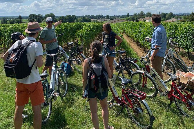 Saint Emilion Full Day Wine and Bike Tour - The Sum Up