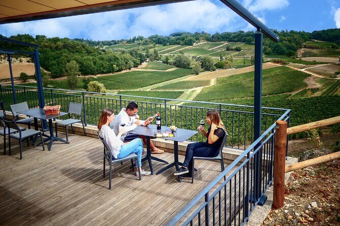 Saint-Emilion Grand Cru Classé: Gourmet Visit in English - Exploring the Itinerary: What You Can Expect