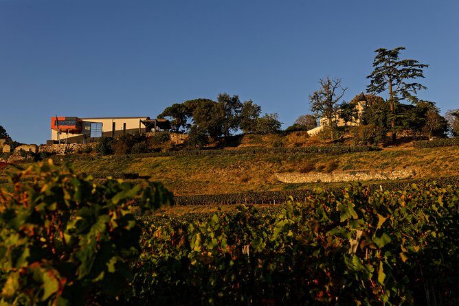 Saint-Emilion Grand Cru Classé: Gourmet Visit in English - Authentic Experiences From the Reviews