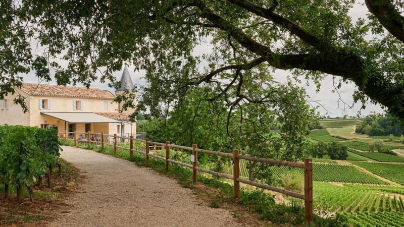 Saint-Emilion: Grand Cru Classé Guided Winery Visit & Picnic - An In-Depth Look at the Experience