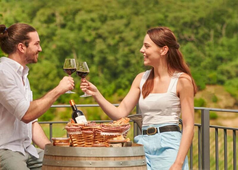 Saint-Emilion: Grand Cru Classé Guided Winery Visit & Picnic - Who Should Consider This Tour