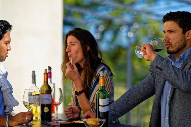 Saint-Emilion Grand Cru Classé: Visit & Tasting in English - Why This Tour Works for Different Travelers  