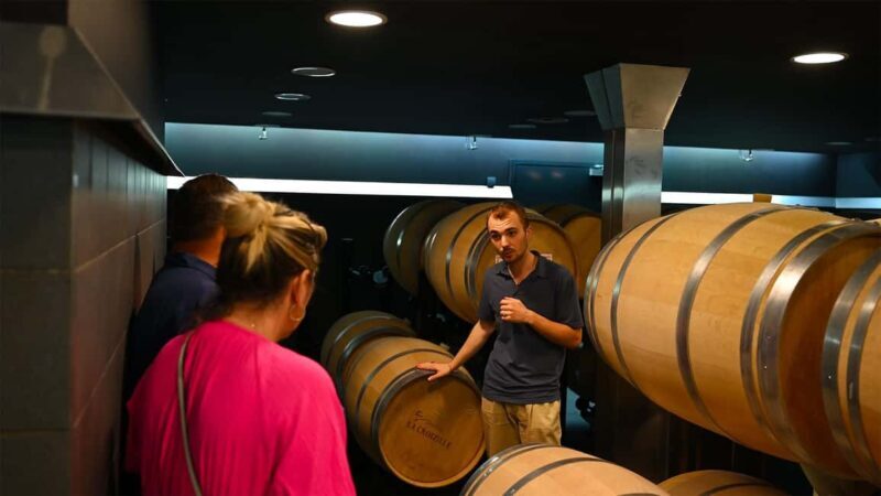 Saint-Émilion: Grand Cru Classé Winery Visit and Tasting - Value for Money