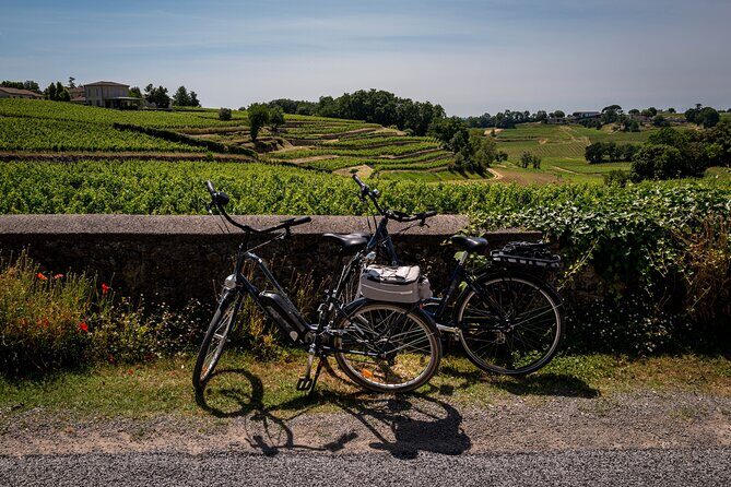 Saint Emilion Half Day Ebike and Wine Tour with Picnic. - Exploring the Saint Emilion Half Day Ebike and Wine Tour with Picnic