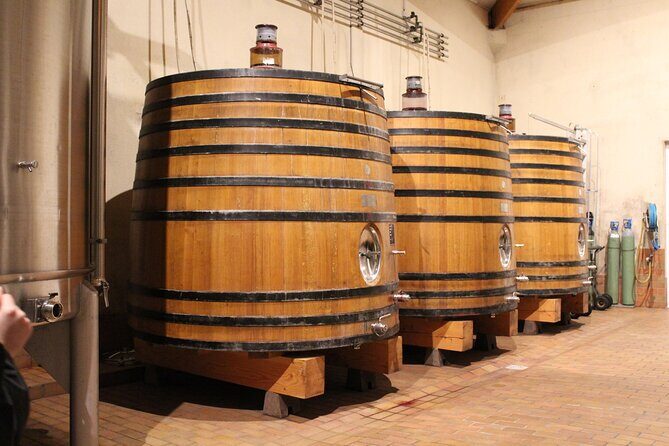 Saint Emilion Half Day Ebike and Wine Tour with Picnic. - Practical Details