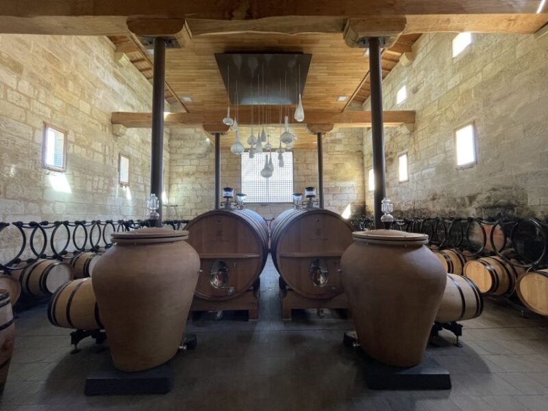Saint-Emilion : half-day wine-tour into classified estates - Who Will Love This Tour?