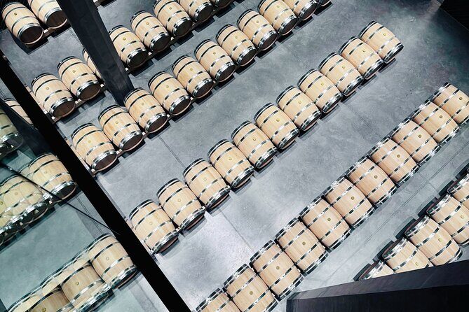 Saint-Émilion & Médoc : Full day with tastings and WSET guide - Transportation, Group Size, and Overall Comfort