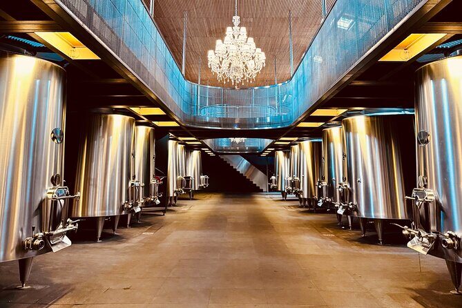 Saint-Émilion & Médoc : Full day with tastings and WSET guide - Analyzing the Value