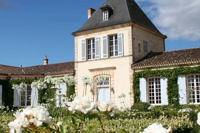 Saint-Émilion & Médoc : Full day with tastings and WSET guide - Who Will Love This Tour?