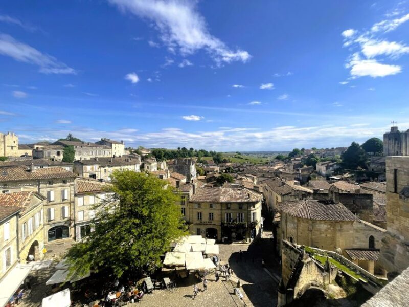 Saint-Emilion: Morning Tour with Wine Tasting & Snack - Who Is This Tour Best Suited For?