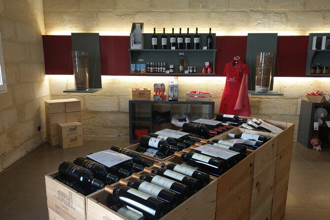 Saint-Emilion Private Full Day Wine Tour from Bordeaux - Introduction to the Saint-Emilion Private Full Day Wine Tour