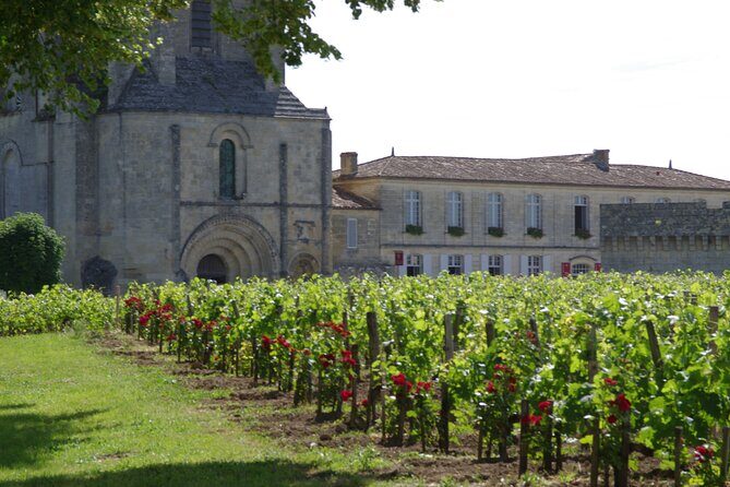 Saint-Emilion Private Full Day Wine Tour from Bordeaux - What Makes This Tour Stand Out?