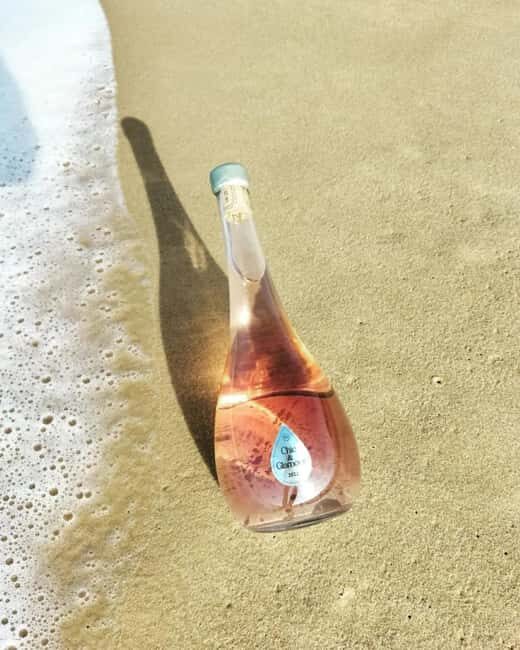 Saint-Emilion : Tasting of 4 wines in a family vineyard - Key Points