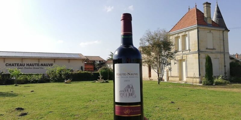 Saint-Émilion: Vineyard Walking Tour and Tasting - Key Points