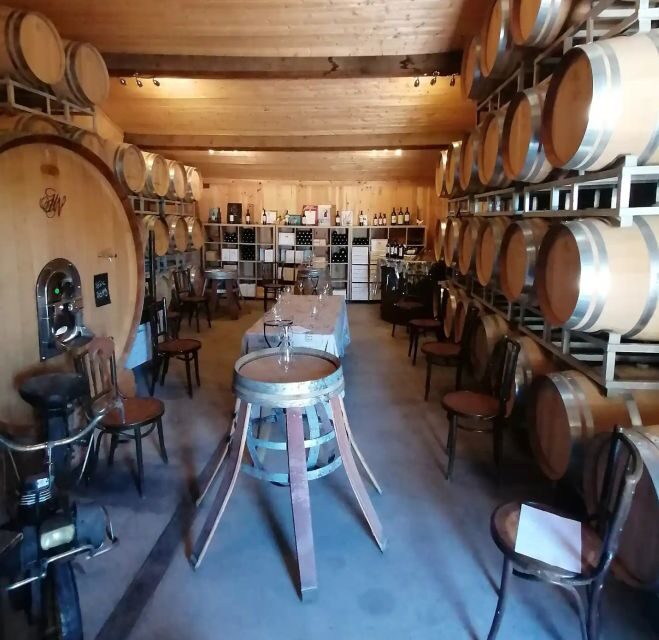 Saint-Émilion: Vineyard Walking Tour and Tasting - Inside the Cellar: A Deeper Look at Winemaking