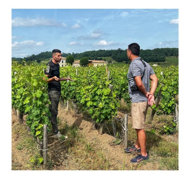 Saint-Émilion: Vineyard Walking Tour and Tasting - The Tasting: An Array of Flavors