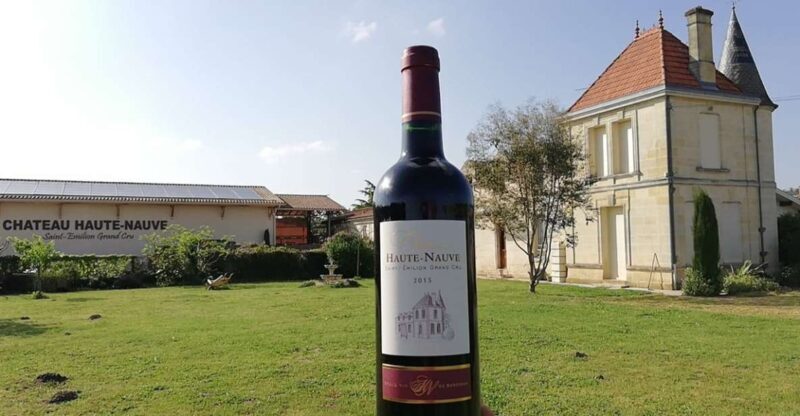 Saint-Émilion: Vineyard Walking Tour and Tasting - Who This Tour Is Best For