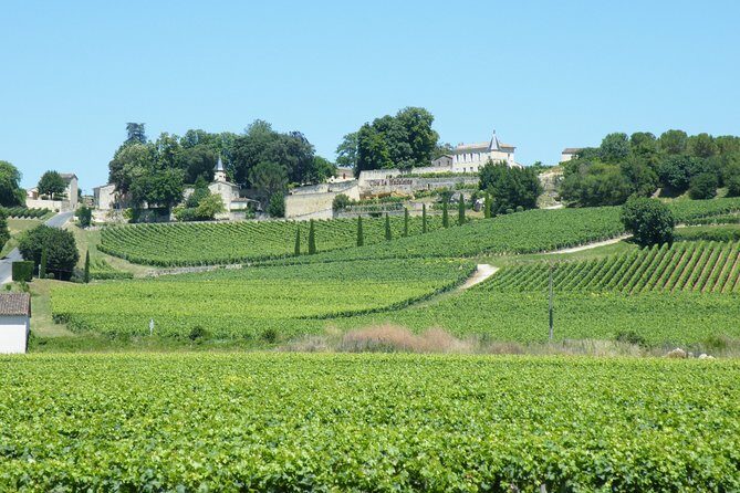 Saint Emilion Wine Tour Tasting Half Day from Bordeaux - The Full Experience: What to Expect