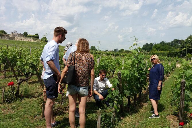 Saint Emilion Wine Tour Tasting Half Day from Bordeaux - FAQ