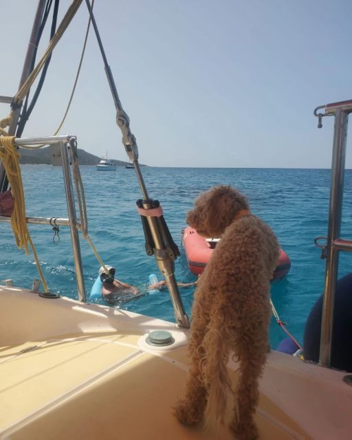 Saint-Florent: sailing excursions with Sailingmaures - Who Will Love This Experience?