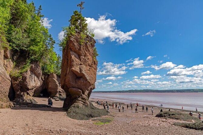 Saint John (NB) Bay of Fundy and Hopewell Rocks Private Tour - Discover the Charm of the Saint John (NB) Bay of Fundy and Hopewell Rocks Private Tour