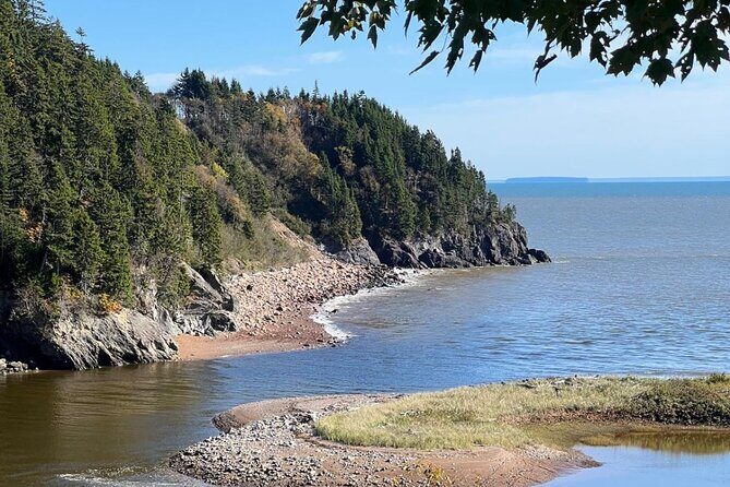 Saint John (NB) Bay of Fundy and Hopewell Rocks Private Tour - Key Points