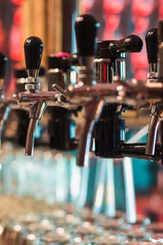 Saint Louis Brews and Views: A Private Half-Day Tour - Who Will Enjoy This Tour?