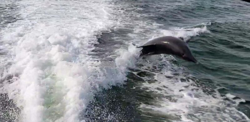 Saint Petersburg: Private Sunset Intracoastal cruise - Who Is This Cruise For?