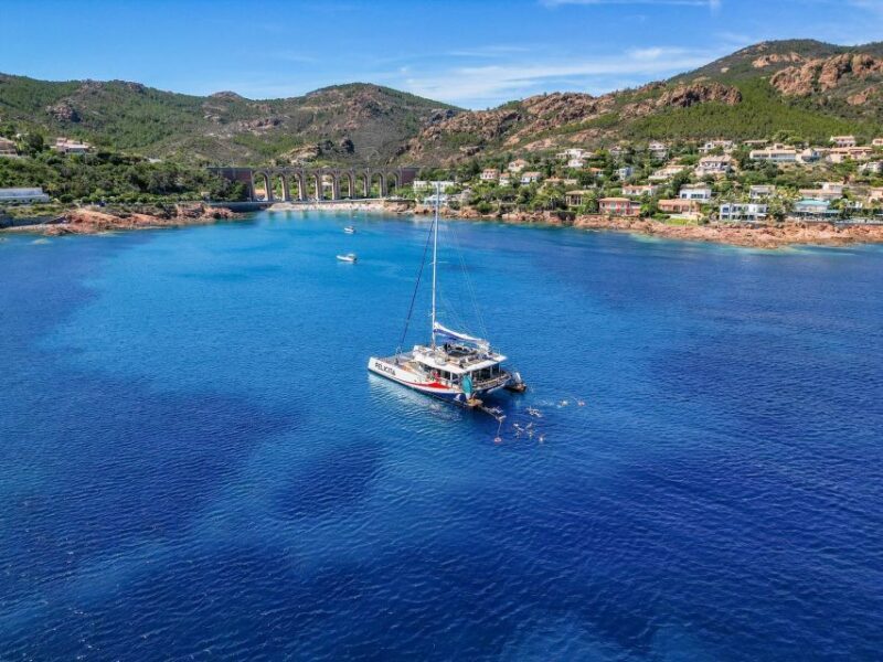 Saint-Raphaël: Morning Discovery with a Guided Tour Cruise - Authentic Experiences and Guest Feedback