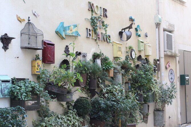 Saint Remy, Les Baux and Pont du Gard Small Group Half-Day Trip - Who Is This Tour Best For?