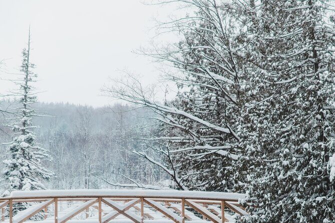 Saint-Sauveur- Forfait Strøm détente authentique - Who Will Love This Experience  