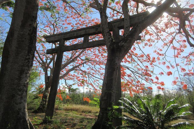 Saipan & Tinian 2-DAY Tour (Day1: SPN; Day2: TIN) - Assessing the Value