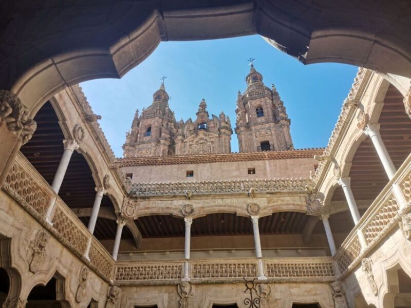 Salamanca: Monuments and Landmarks Guided Walking Tour - Exploring Salamanca: A Closer Look at the Tour