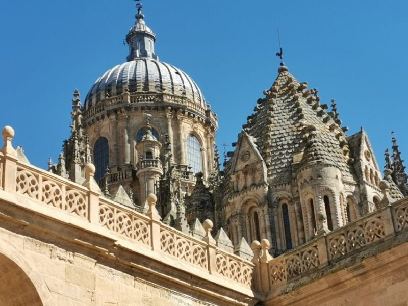 Salamanca: Monuments and Landmarks Guided Walking Tour - FAQ