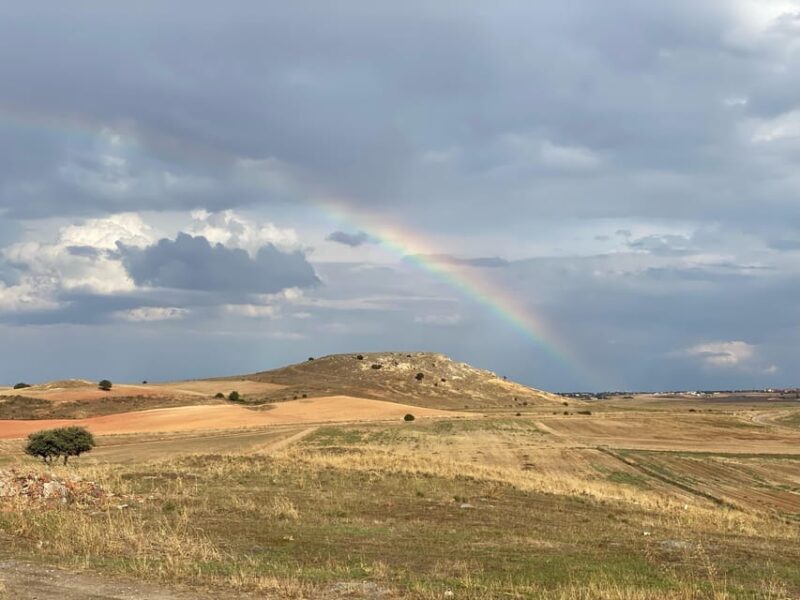 Salamanca: Private Battlefields of Salamanca Half-Day Trip - The Sum Up
