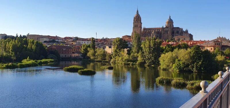 Salamanca: Private Sightseeing & Cultural Walking Tour - Exploring Salamanca: A Private Cultural Walking Tour You’ll Love