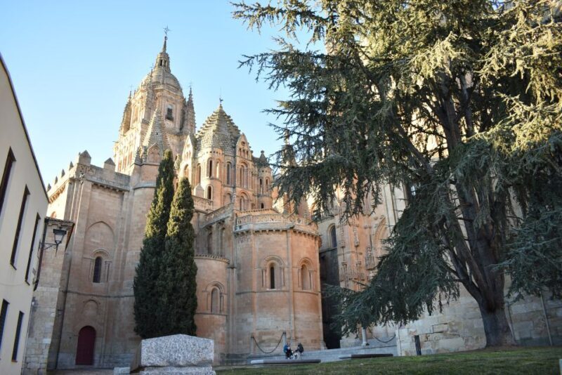 Salamanca: Private Sightseeing & Cultural Walking Tour - The Experience in Action: What Travelers Say