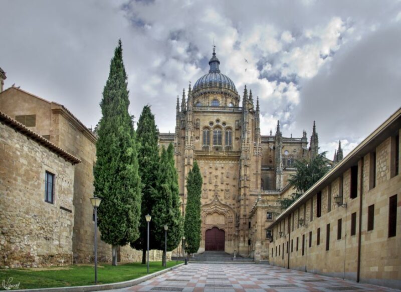 Salamanca: Private tour of the most important sites - Why This Tour Adds Value